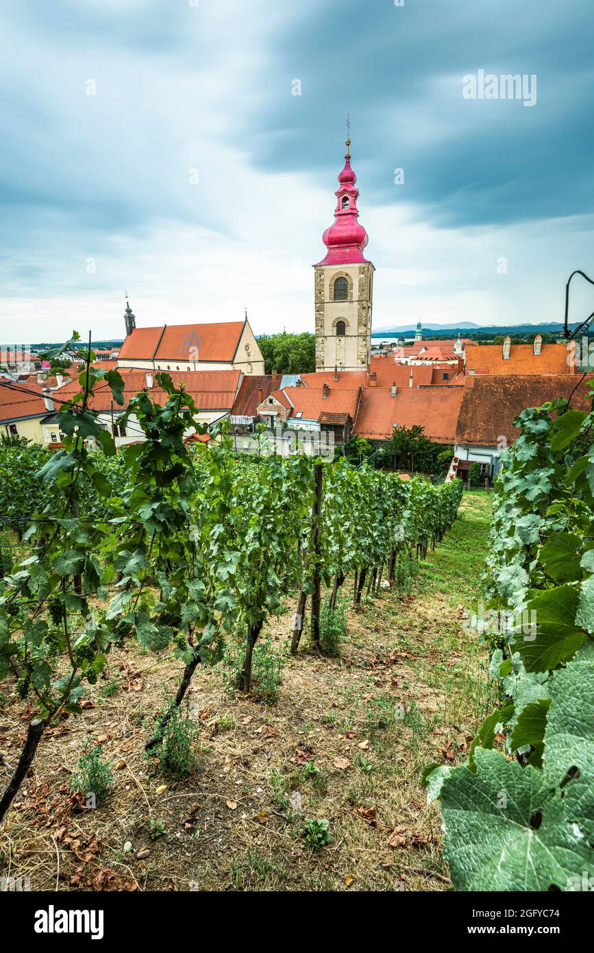 Old Vineyard in Ptuj Slovenia Oldest City Stock Photo - Alamy