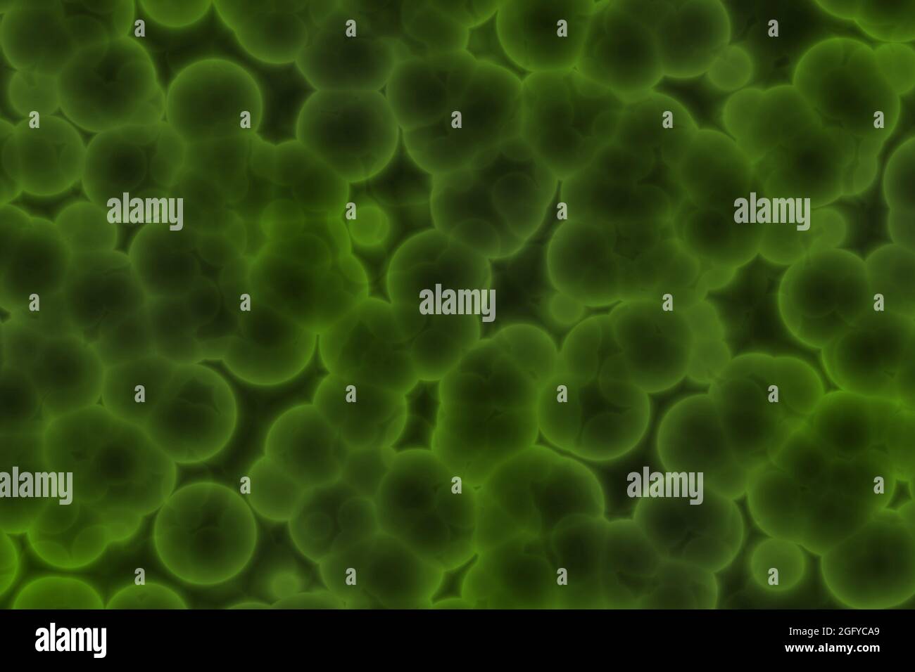 nice artistic green a lot of bio bacteria digital art texture ...