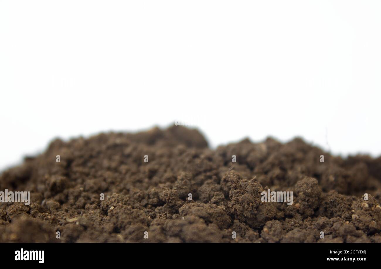 bio ground or soil substrate as frame or border isolated on white ...