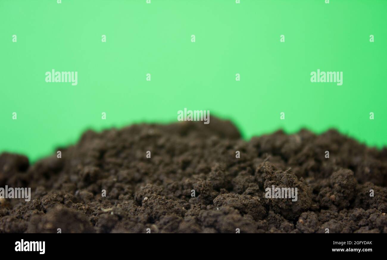 bio ground or soil substrate as frame or border isolated on green ...