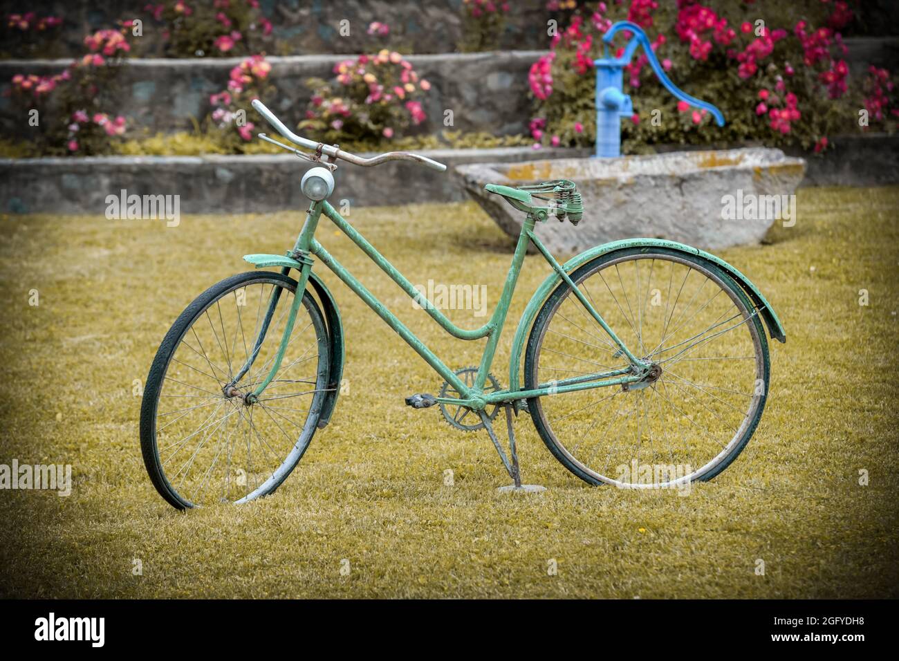 Green bicycle garden decoration. Old bicycle in the park. Retro style Stock Photo - Alamy