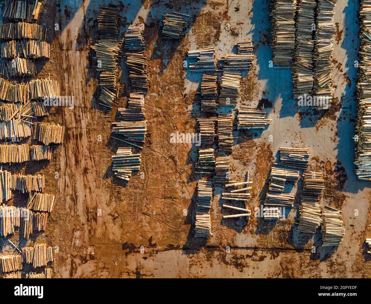 Aerial View of Pine Logs on Sawmill or Lumber Mill Yard Stock Photo - Alamy