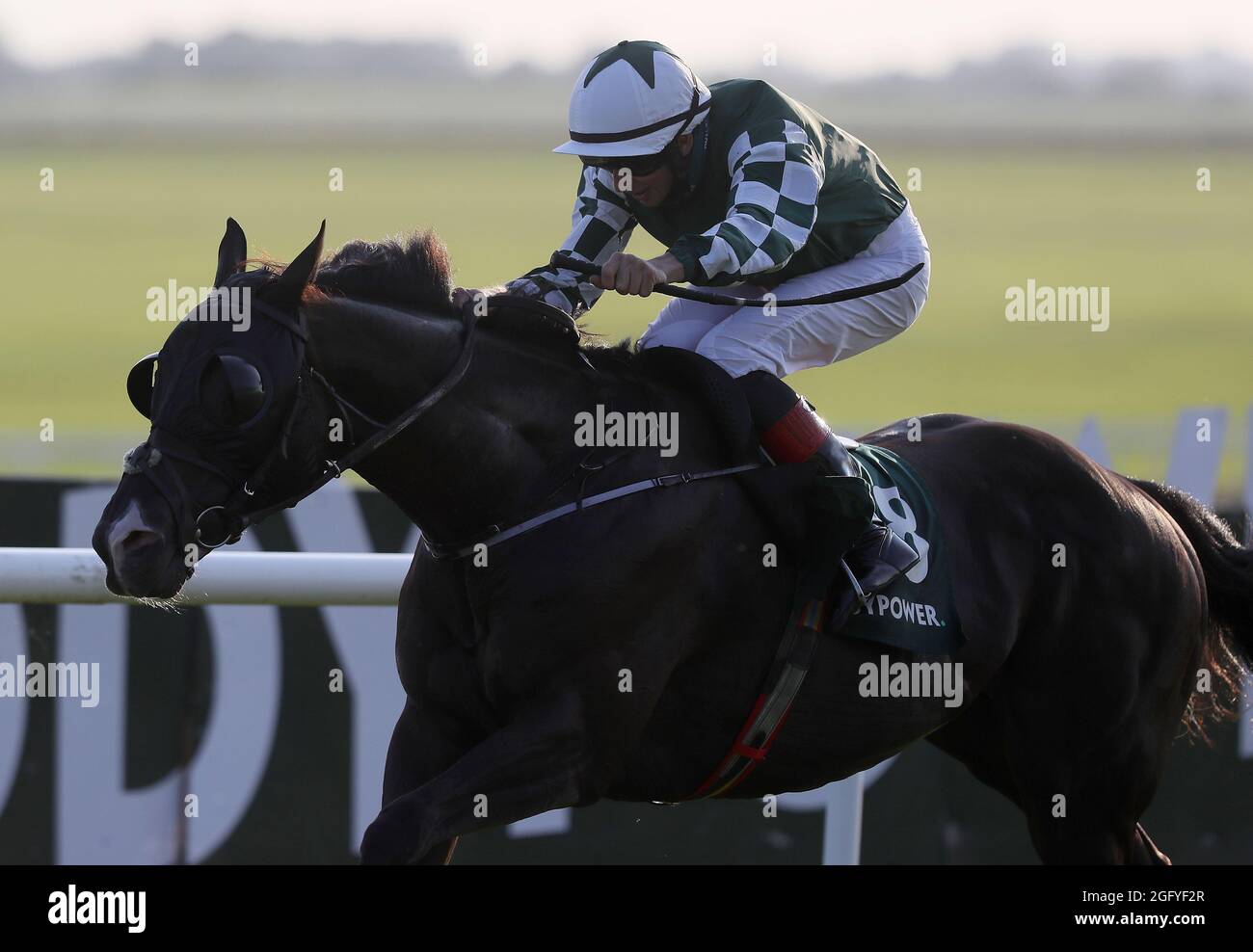 Bopedro horse hi-res stock photography and images - Alamy