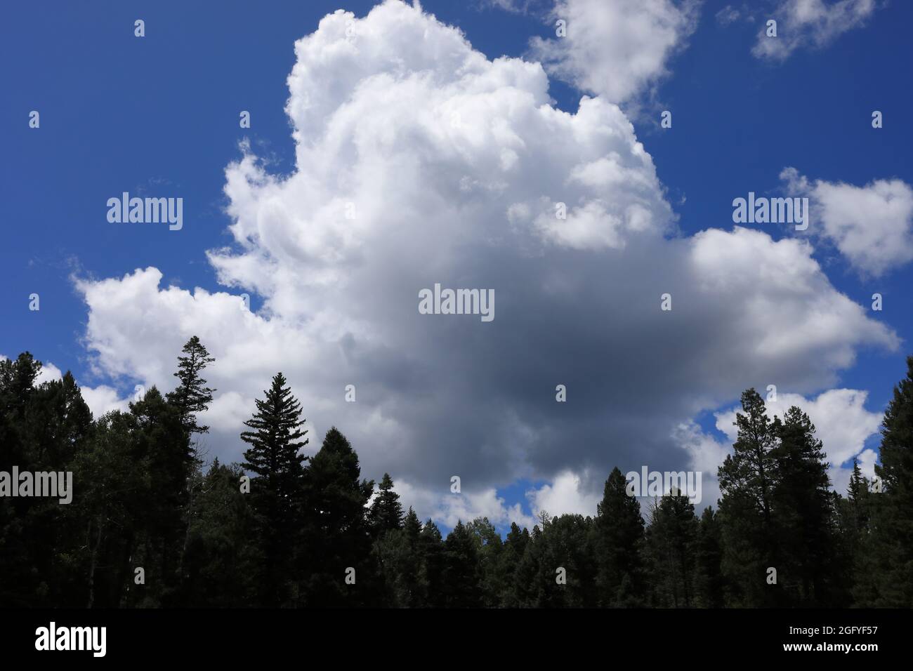 Angel fire hi-res stock photography and images - Alamy