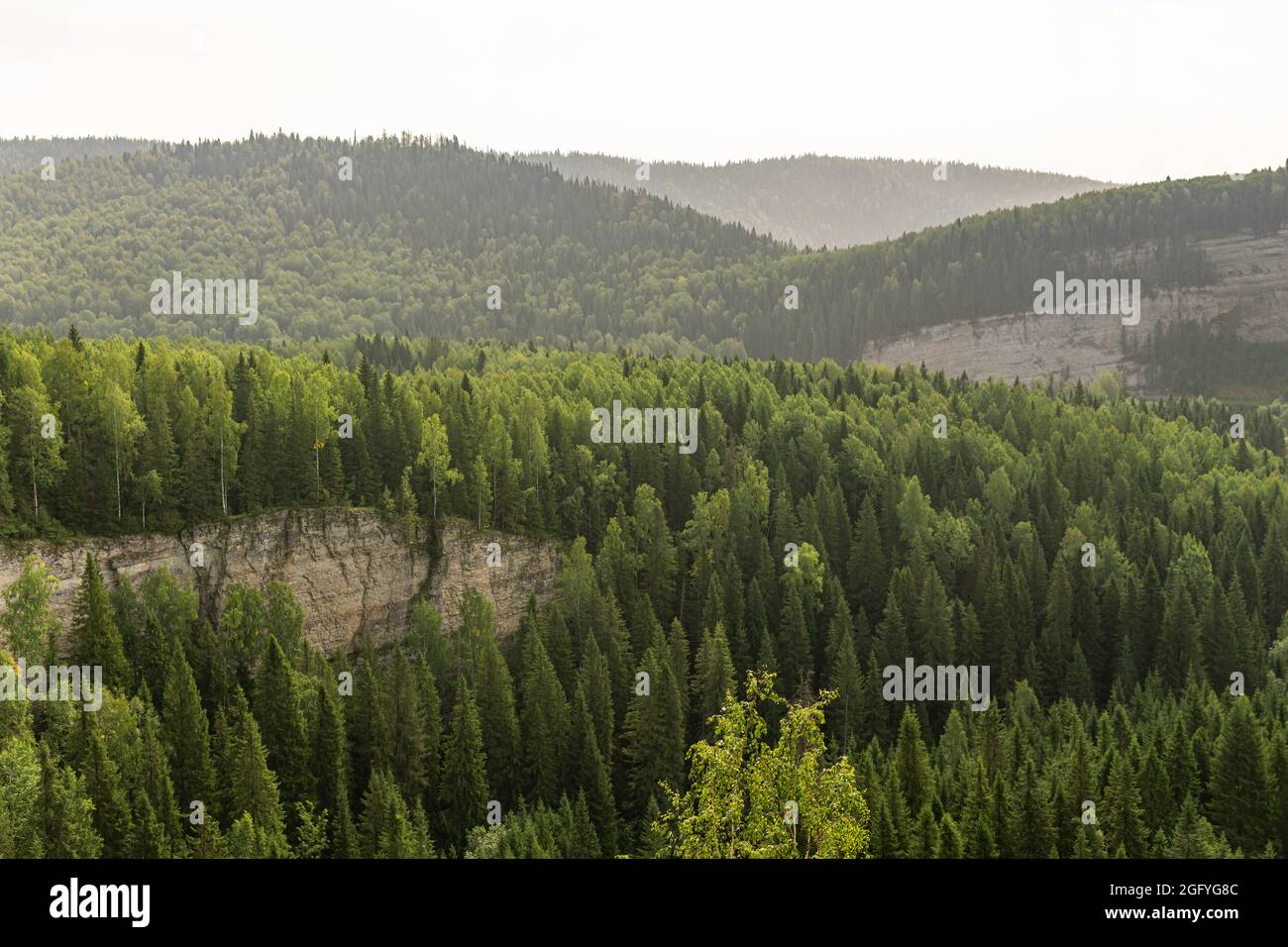 beautiful natural forest landscape with wave-like limestone cliffs ...