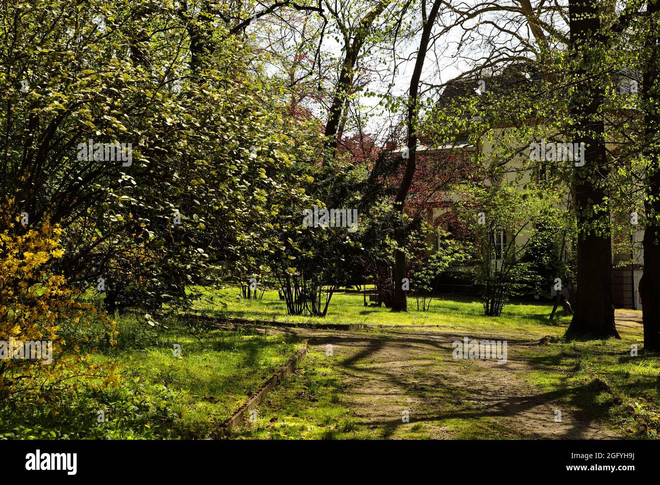 Spring flowering trees and shrubs in a suburban botanical park Stock ...