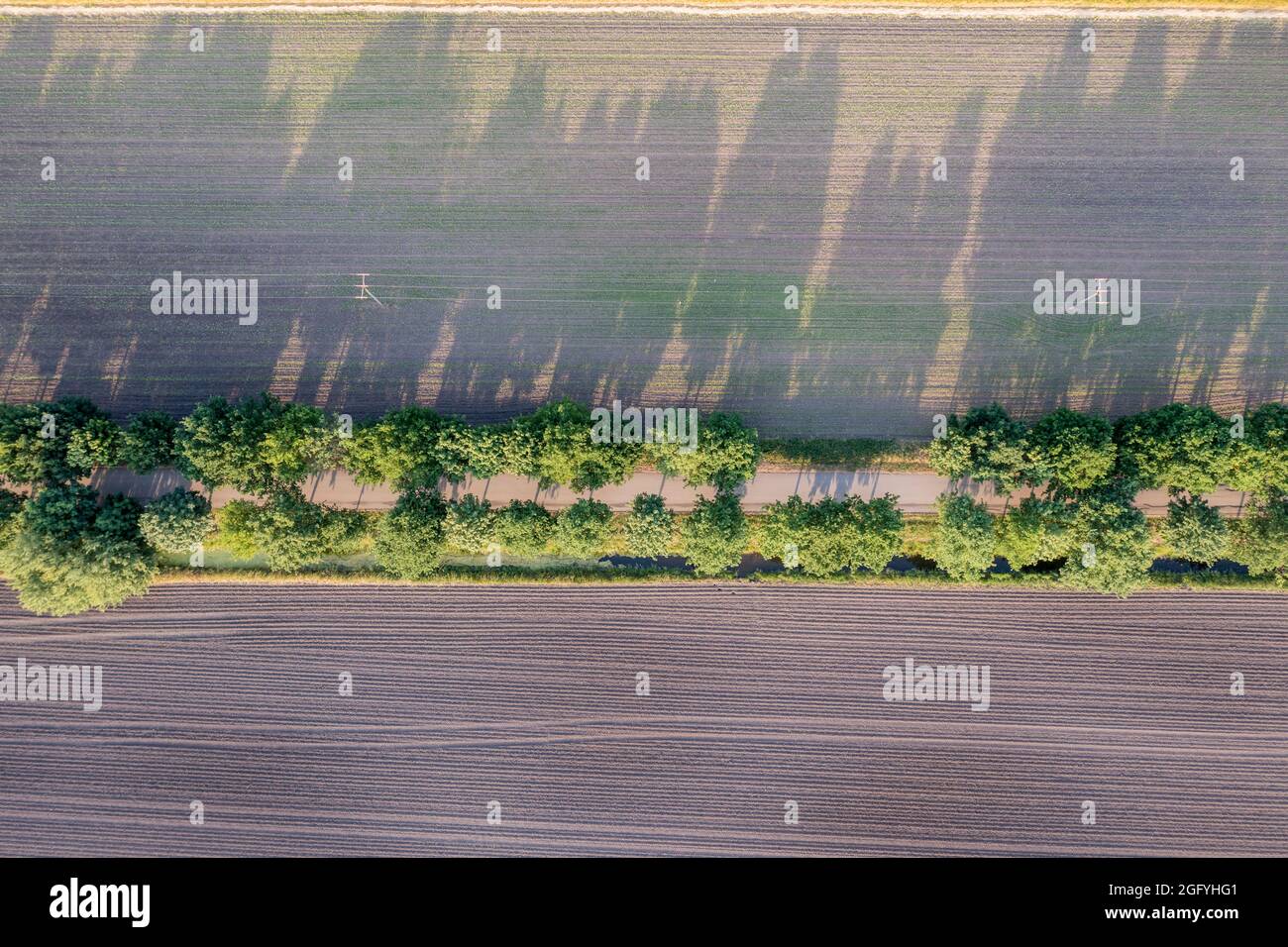 Drone avenue hi-res stock photography and images - Alamy
