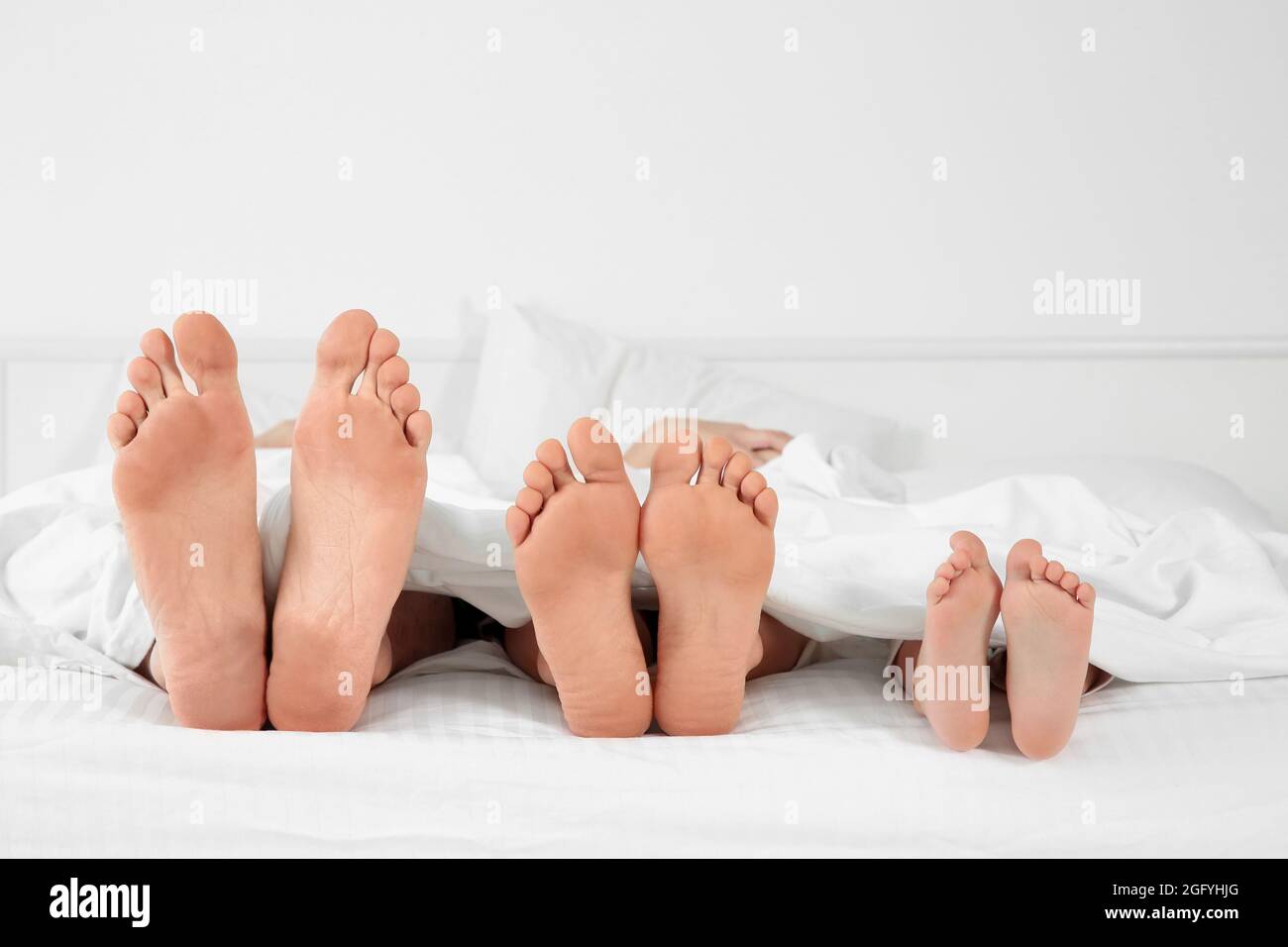 Feet of father, mother and child lying in bed under white sheet Stock ...