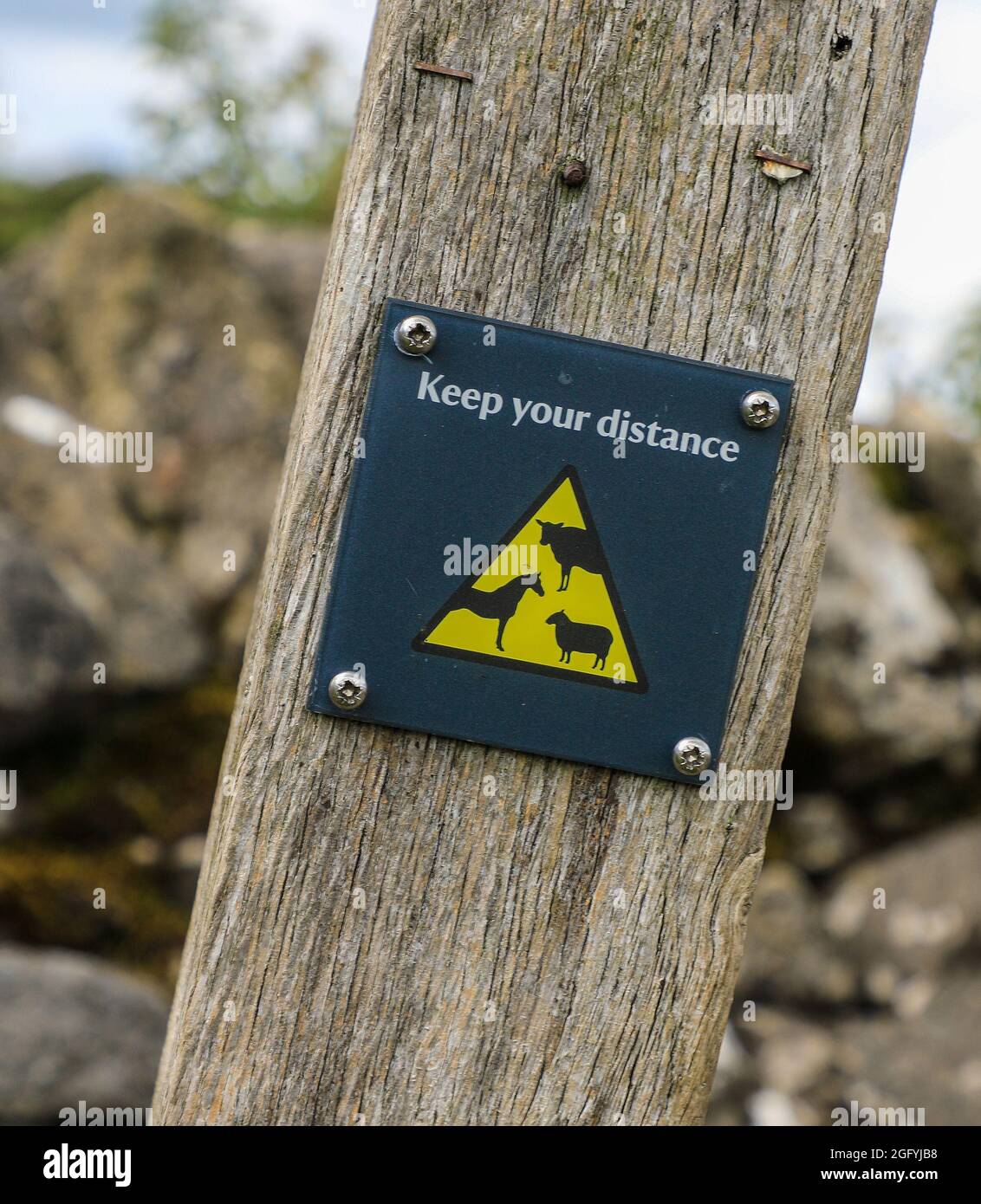 A sign on a wooden post with symbols of sheep, cows and horses and ...