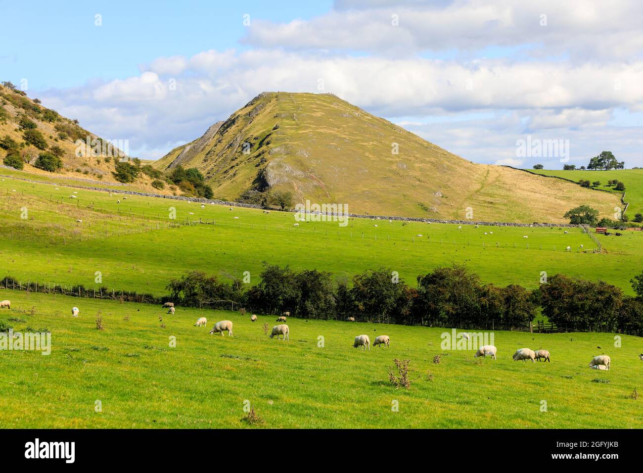 Thorpe Cloud, an isolated limestone hill, at the Southern end of ...