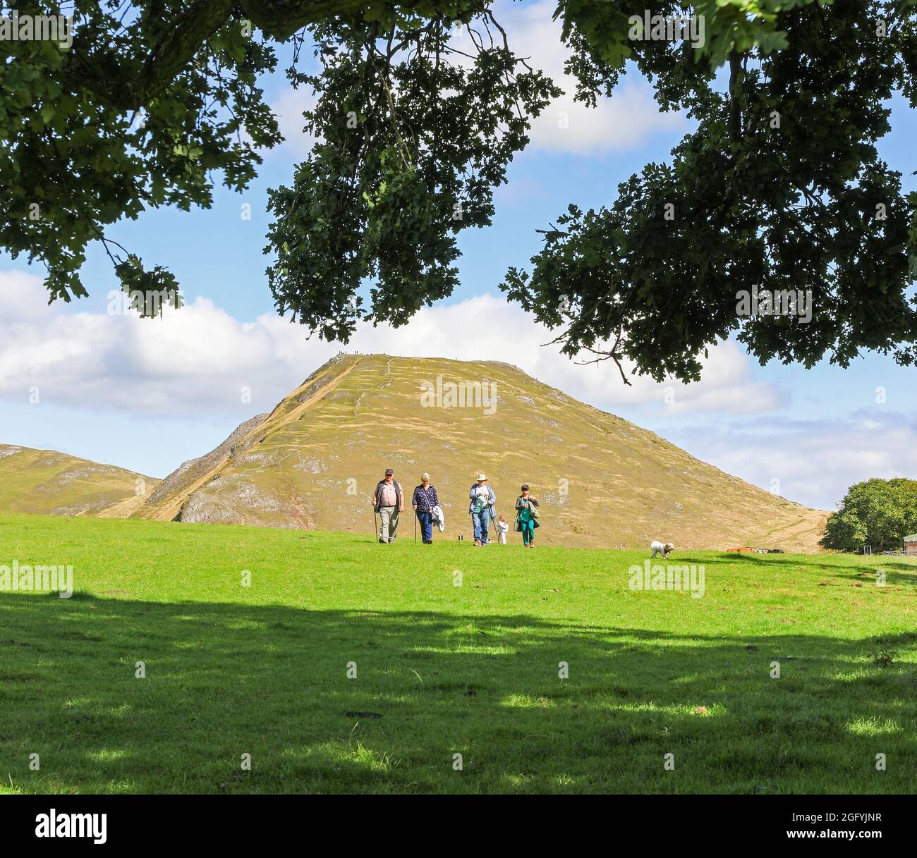 Thorpe Cloud, an isolated limestone hill, at the Southern end of ...