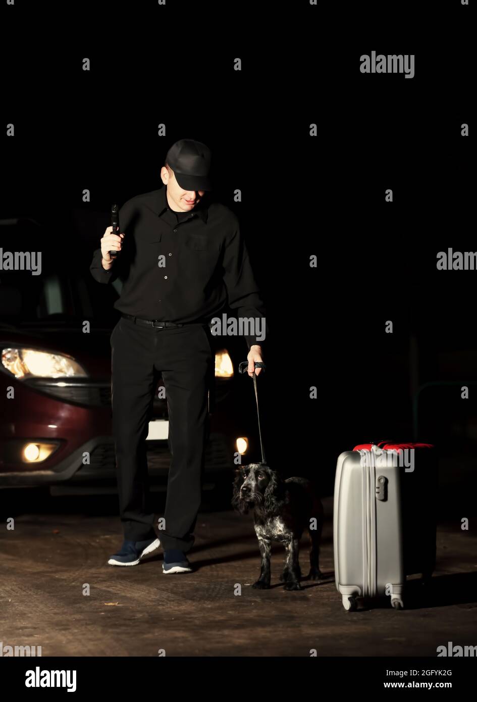 Dog looking for drugs at street Stock Photo - Alamy