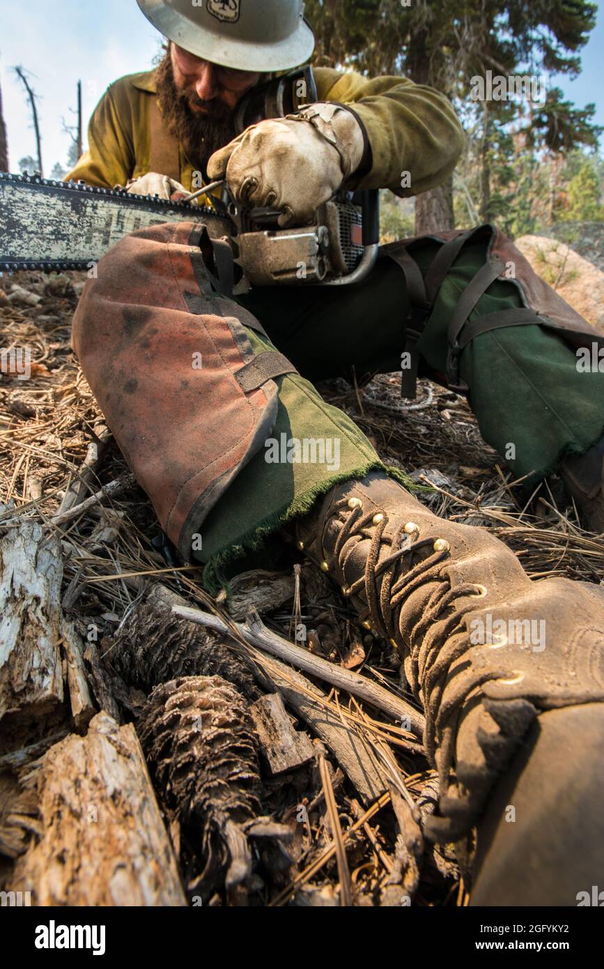 Usda forestry service hi-res stock photography and images - Alamy