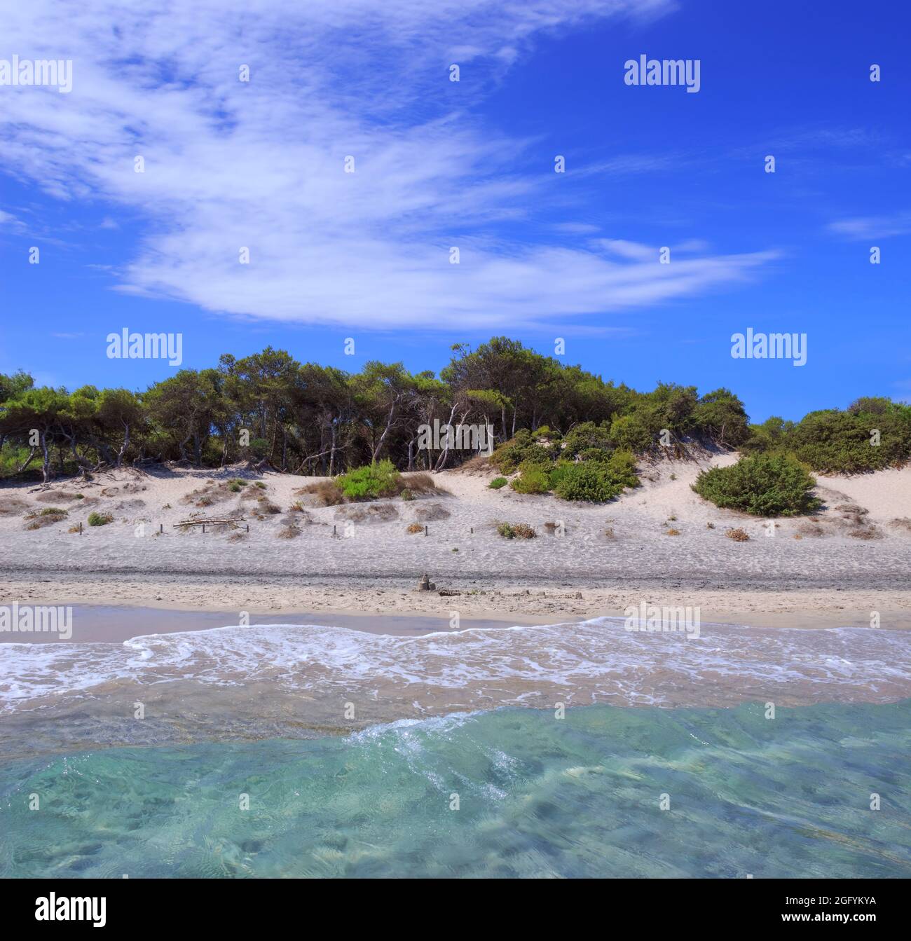 The most beautiful sandy beaches of Apulia in Italy: Alimini Beach in ...