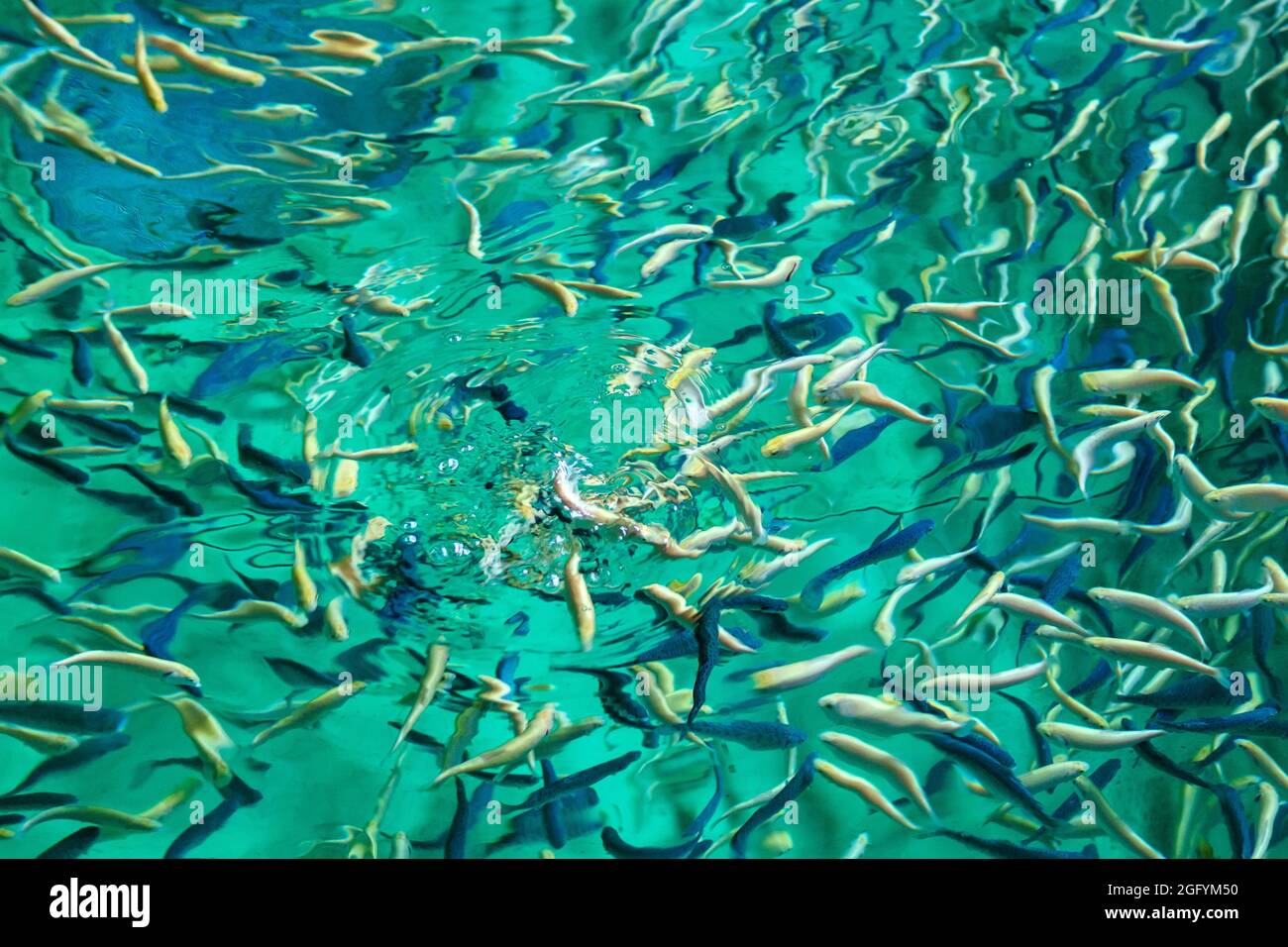 Agricultural produce moving hi-res stock photography and images - Alamy