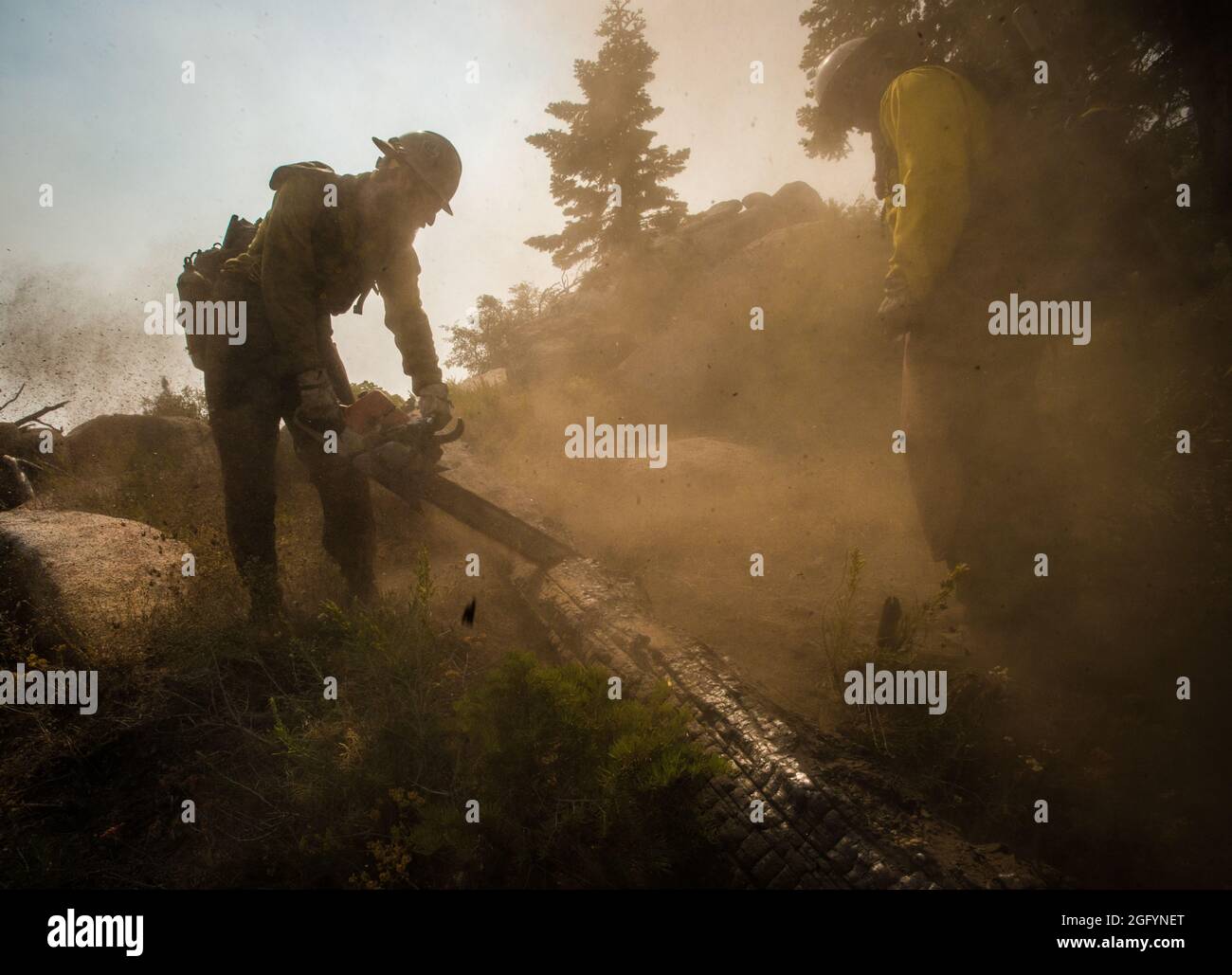 Wildfire firefighter clearing brush hi-res stock photography and images ...