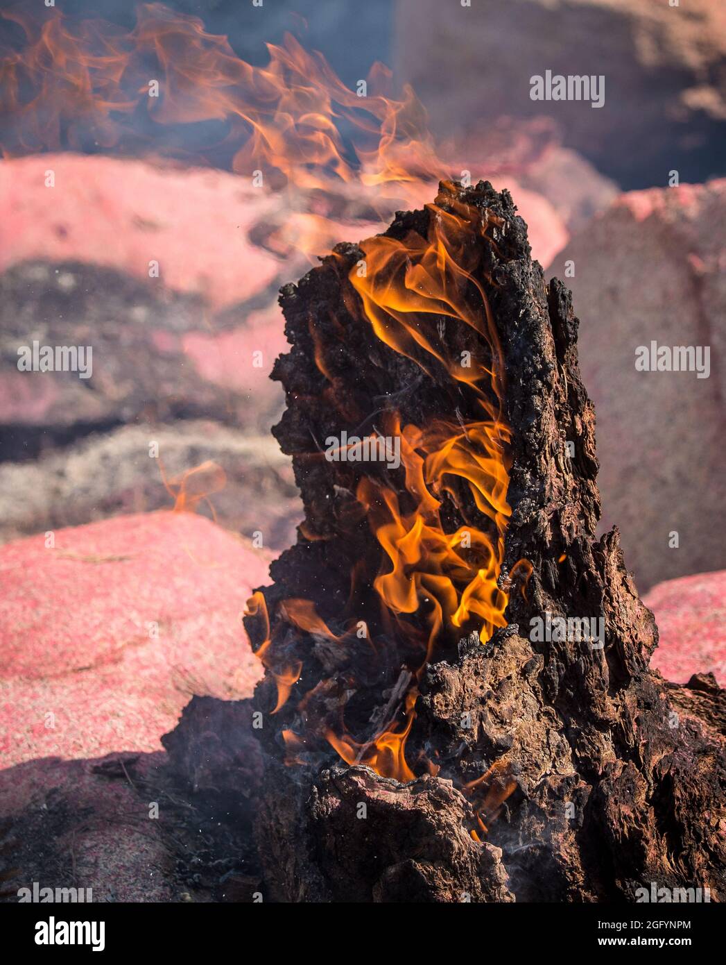 Fire retardant application hi-res stock photography and images - Alamy