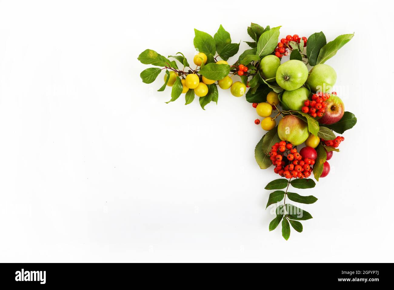 Framework with Autumn yellow, orange and red vegetables and fruits on ...