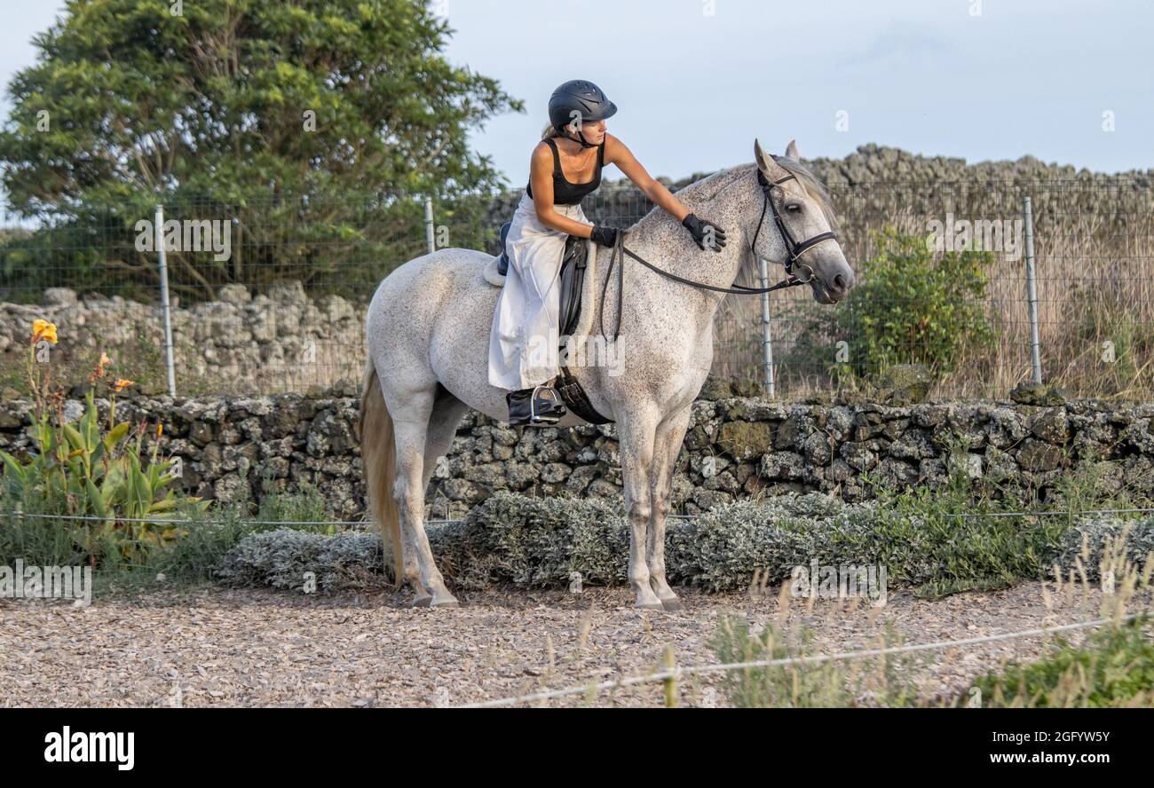 Female dressage rider hi-res stock photography and images - Alamy