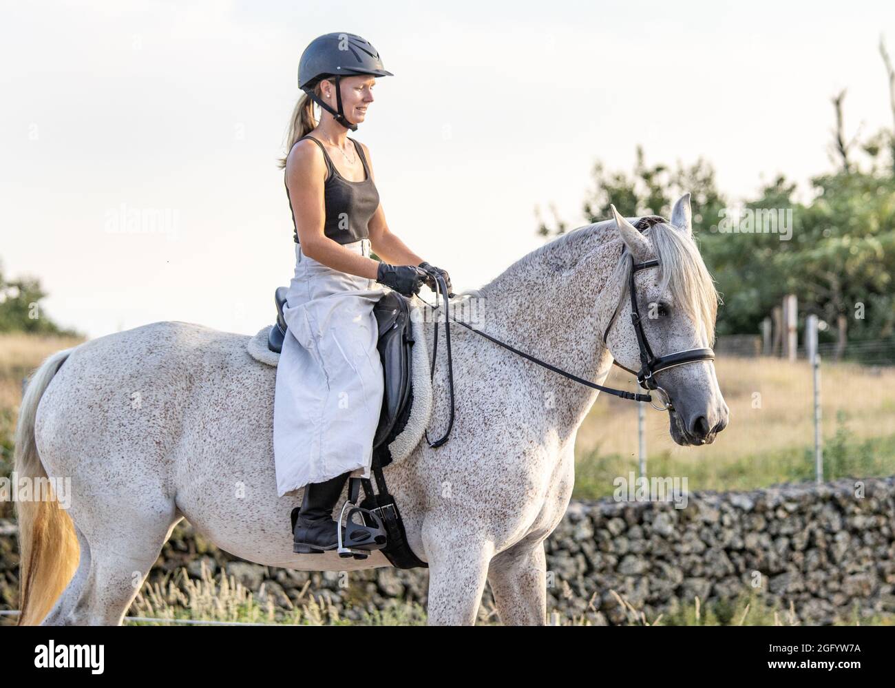 Female dressage rider hi-res stock photography and images - Alamy