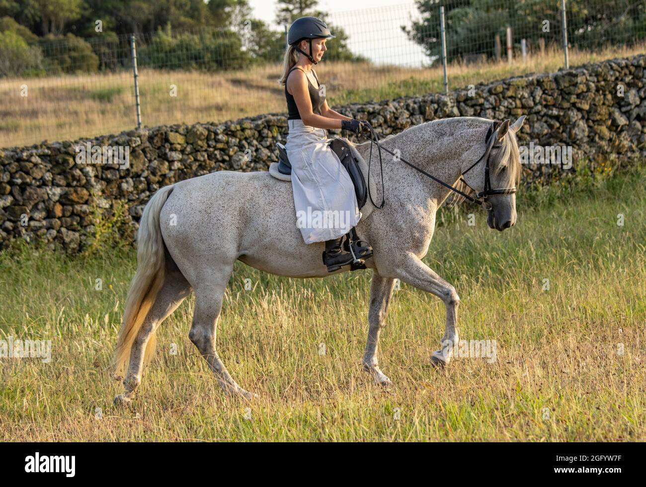 Female white horse rider hi-res stock photography and images - Alamy