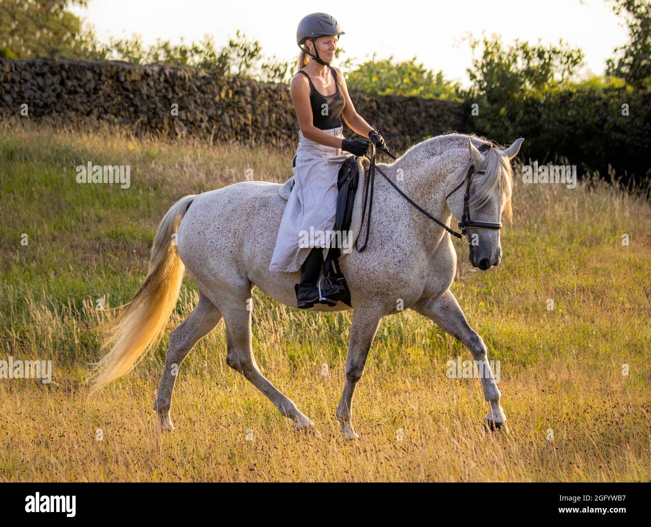 Rider female hi-res stock photography and images - Alamy