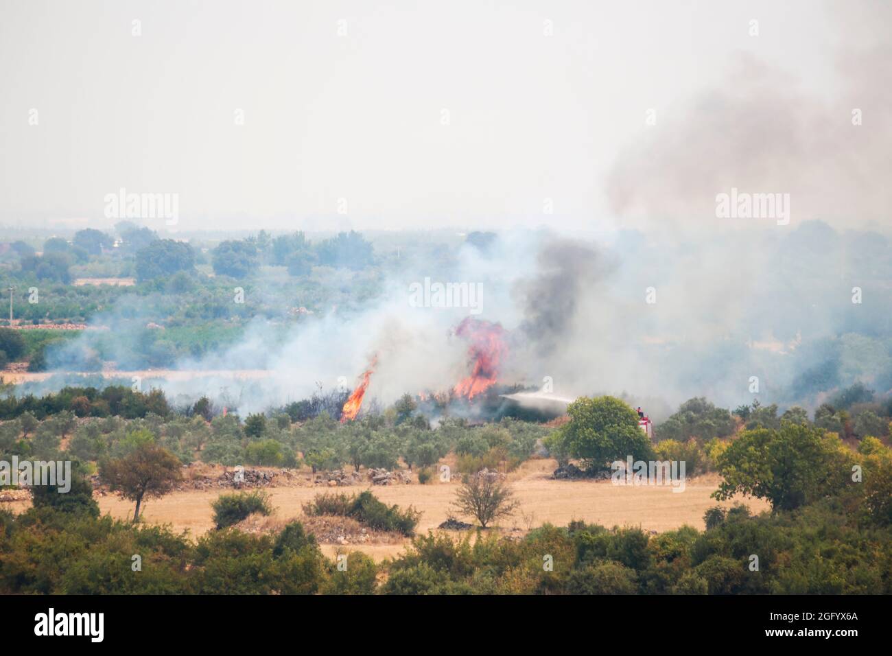 Start of a forest fire and firefighting response. Forest fire Stock ...