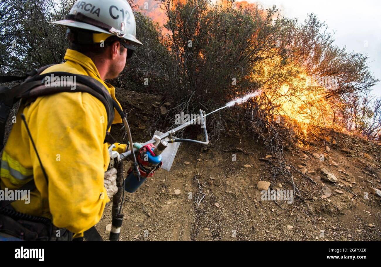 The Thomas Fire burns in the hills above Los Padres National Forest ...
