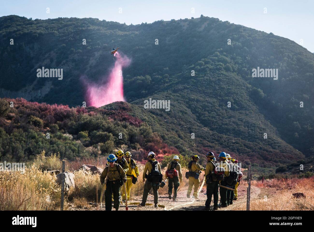 The Thomas Fire burns in the hills above Los Padres National Forest ...