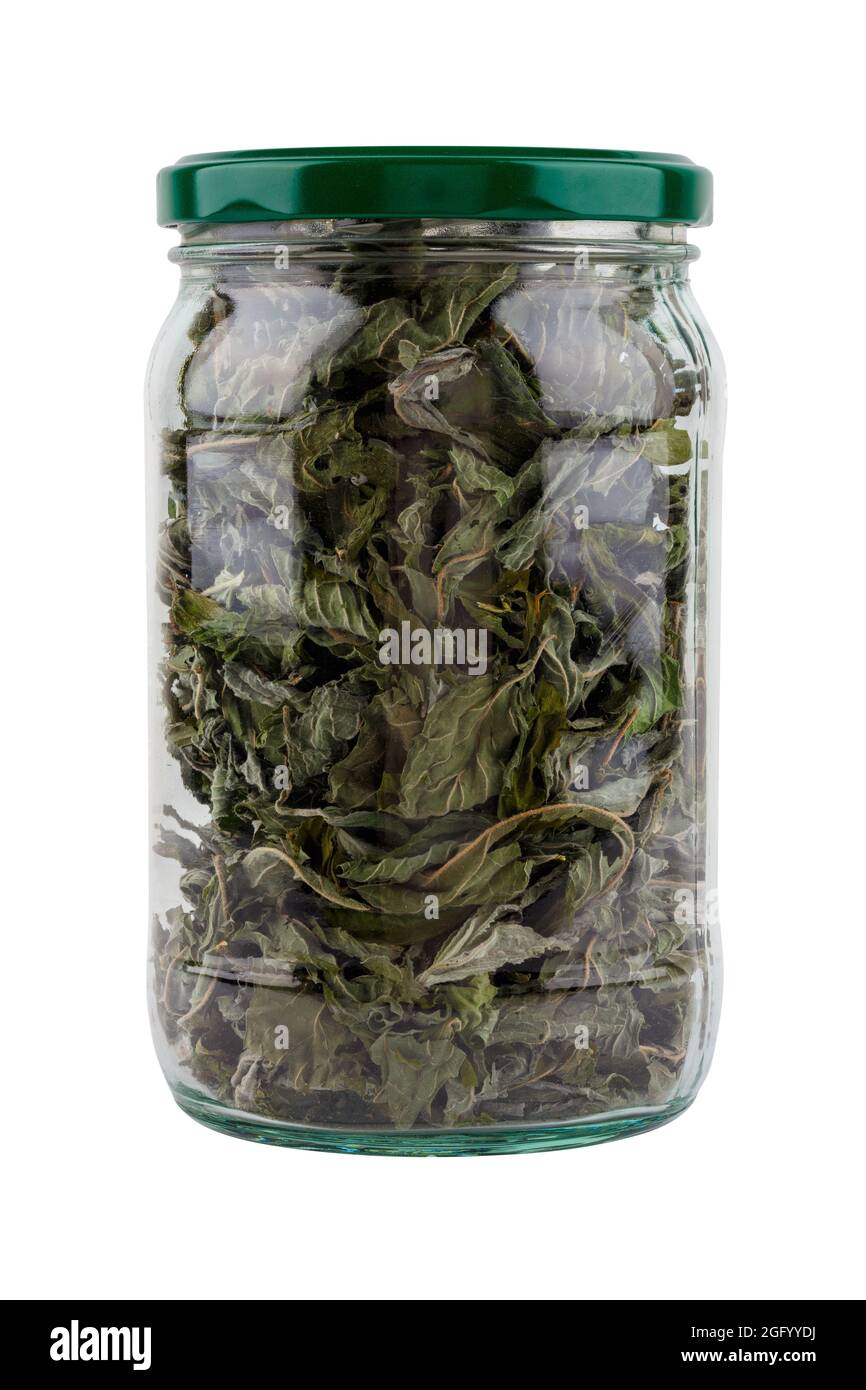 glass jar with green cap full of dryed natural mint leaves isolated on ...