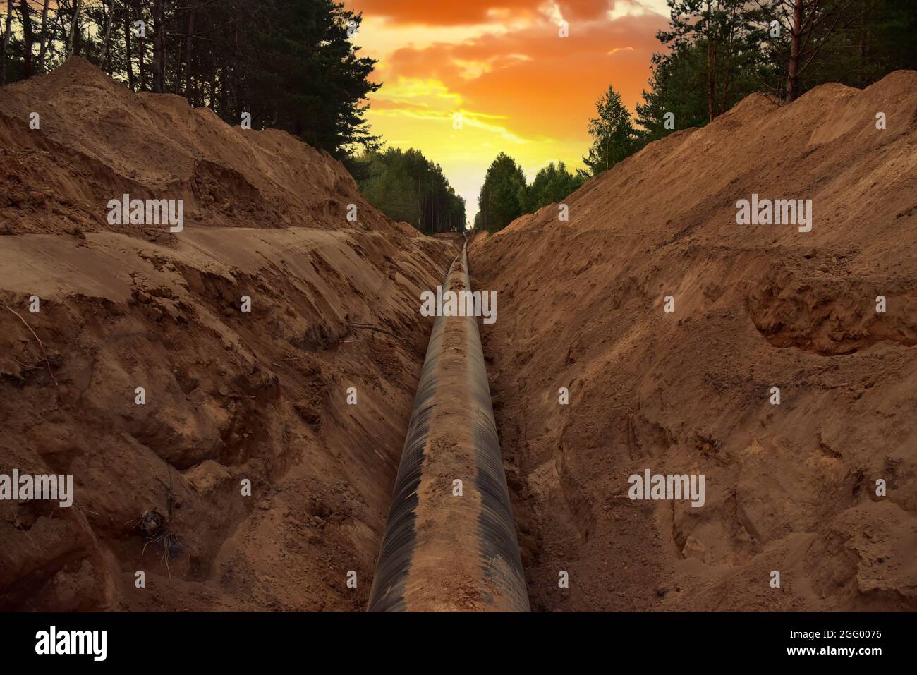 Natural Gas Pipeline Construction. Laying oil pipe in a trench in the ...