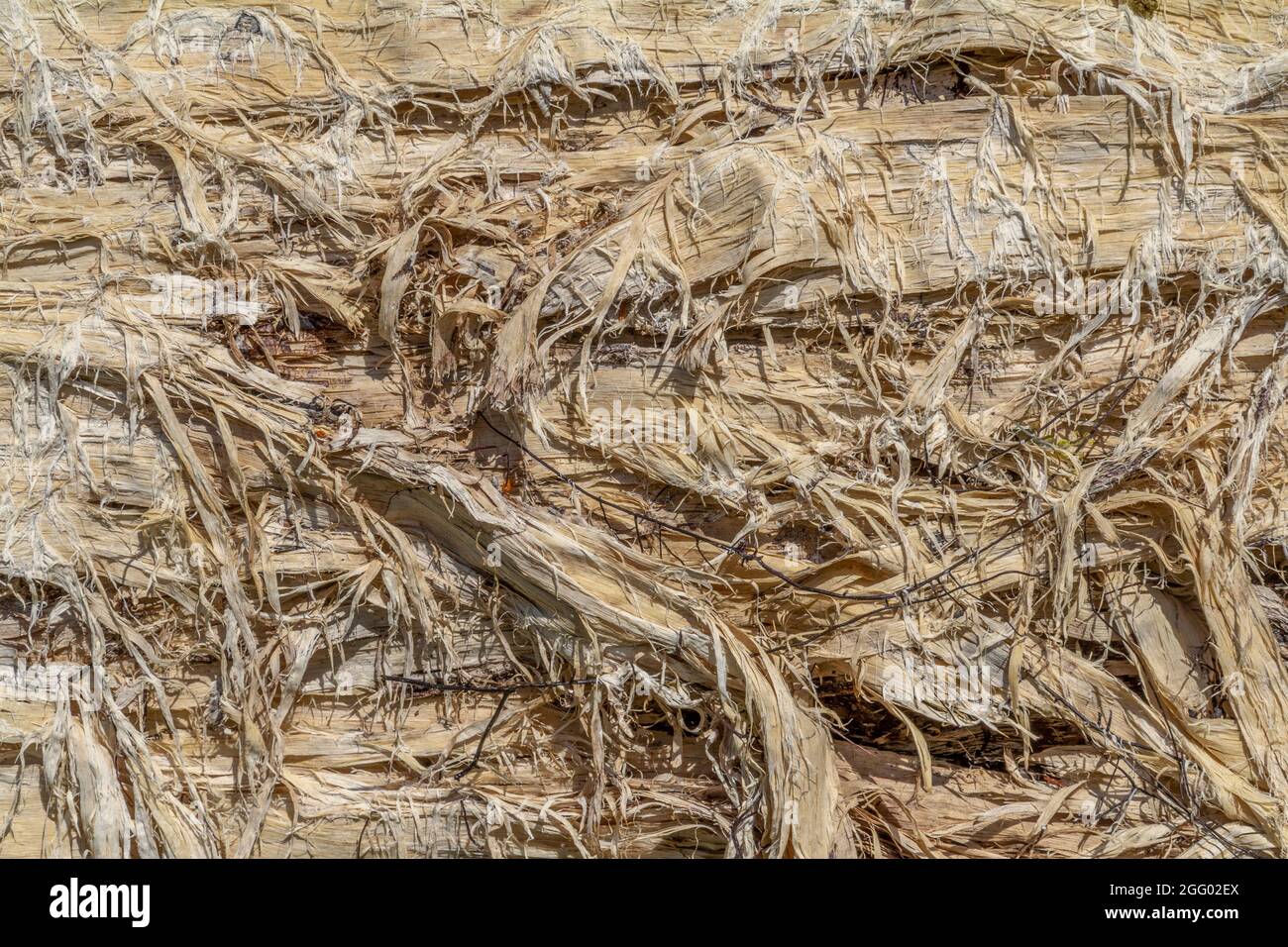 Hackly hi-res stock photography and images - Alamy