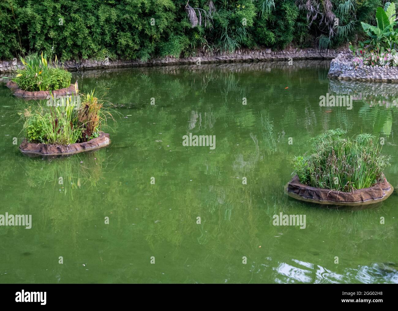 Tea garden view hi-res stock photography and images - Alamy