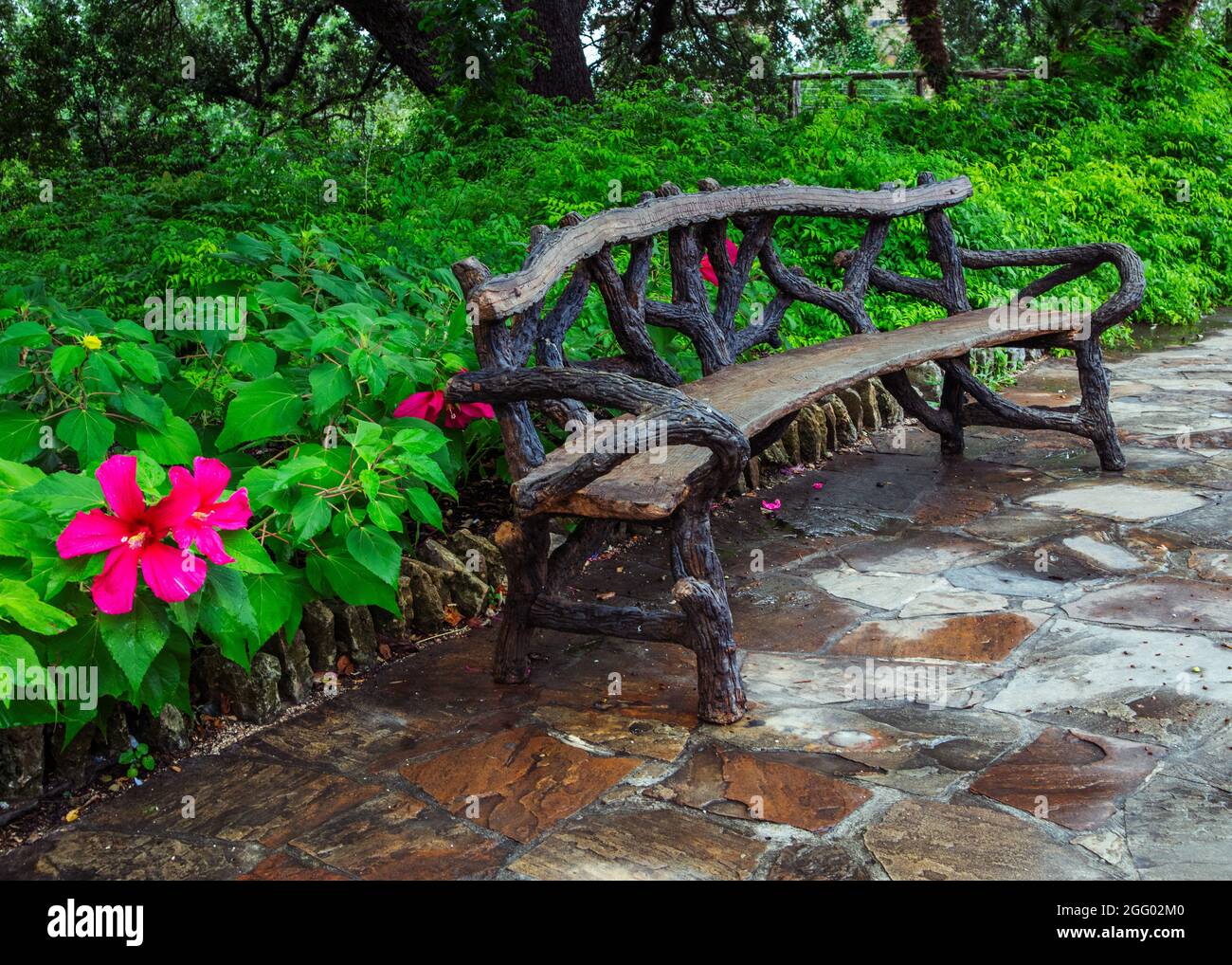 Wooden bench in Japanese tea garden Stock Photo - Alamy