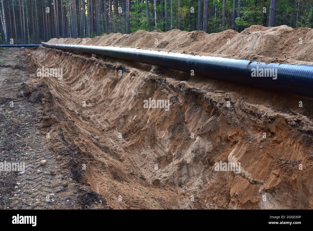 Natural gas pipeline construction work in forest area. Petrochemical ...