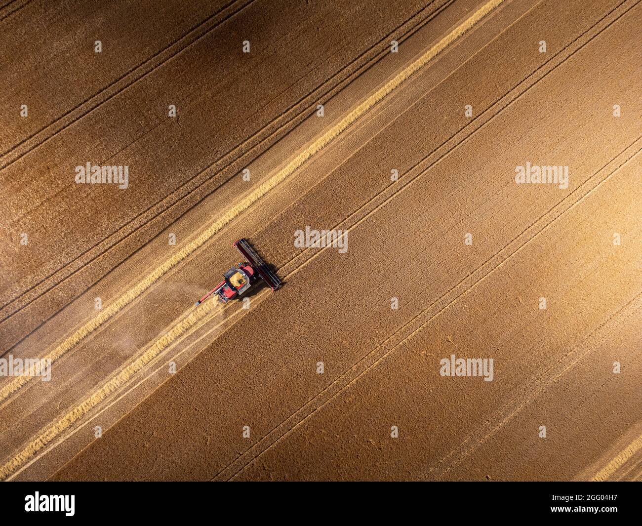 Case ih axial flow 9250 x flow combine harvester hi-res stock ...