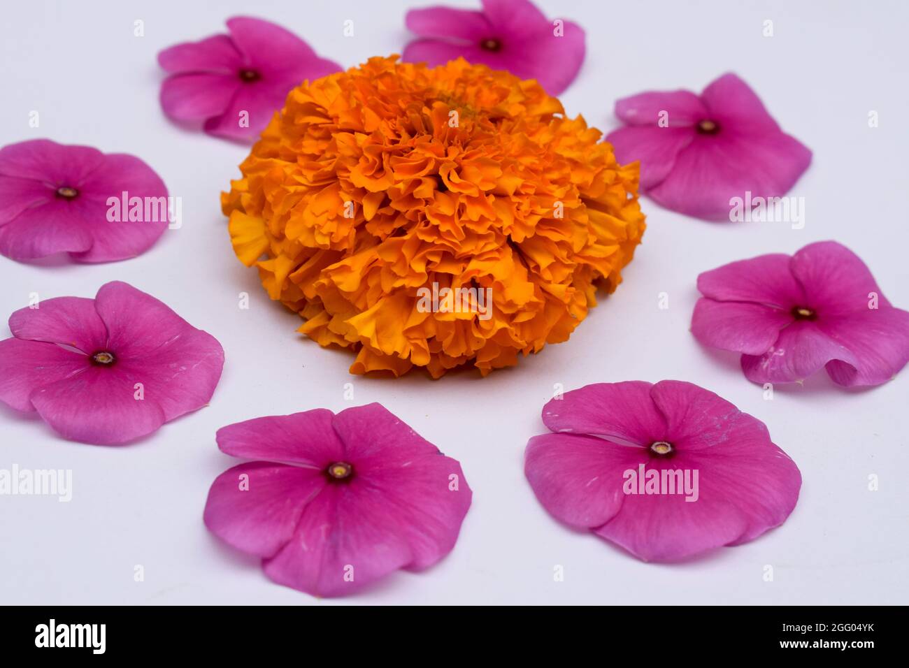Onam pookalam hi-res stock photography and images - Alamy