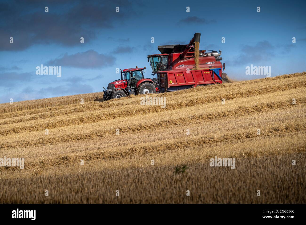 Case ih axial flow 9250 x flow combine harvester hi-res stock ...