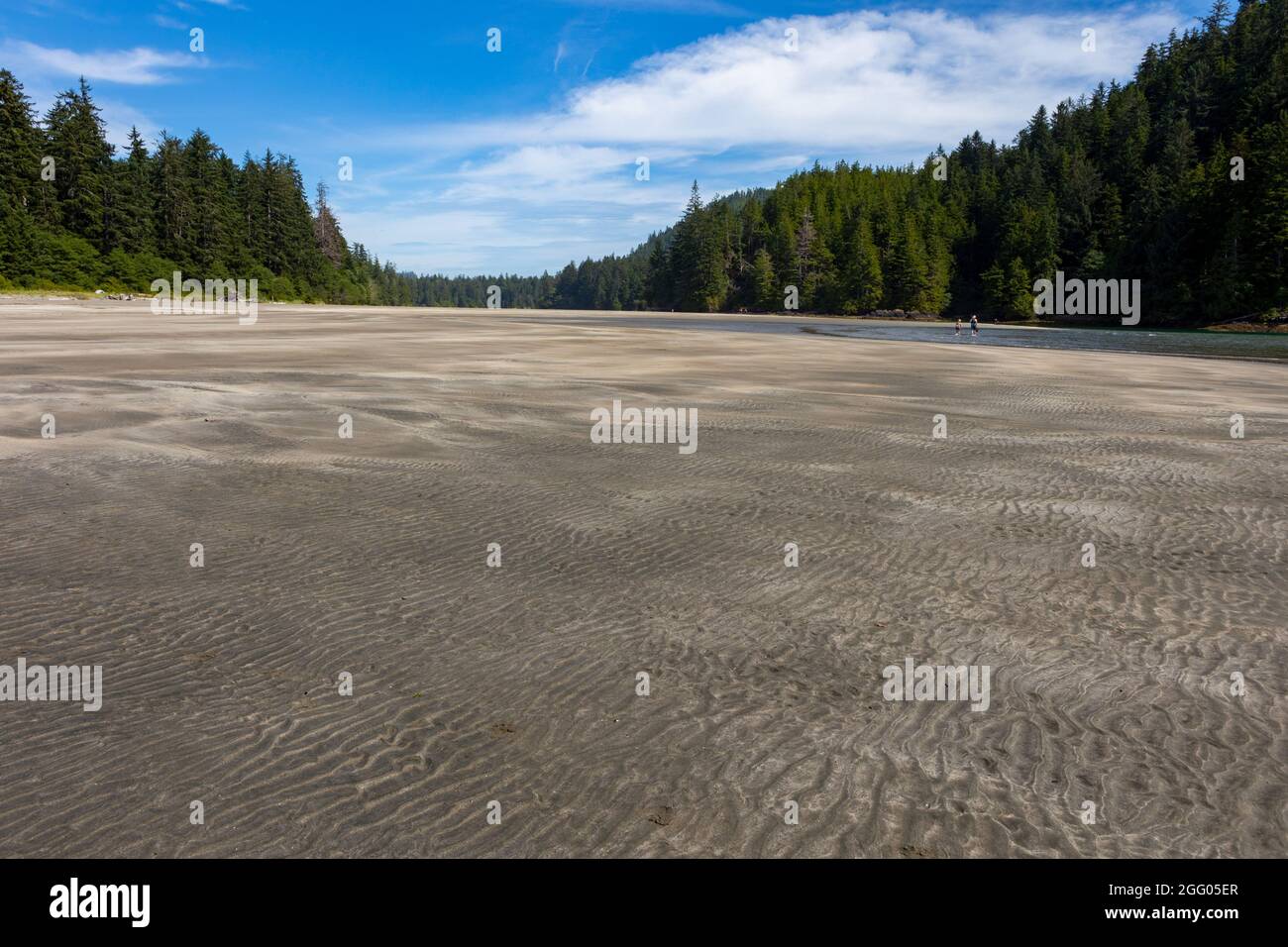View of sandy beach San Josef Bay, Cape Scott Provincial Park ...