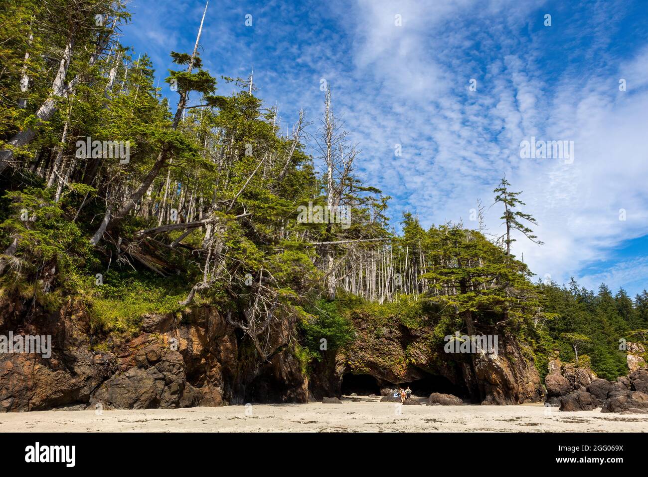 View at San Josef Bay, Cape Scott Provincial Park, Vancouver Island, BC ...