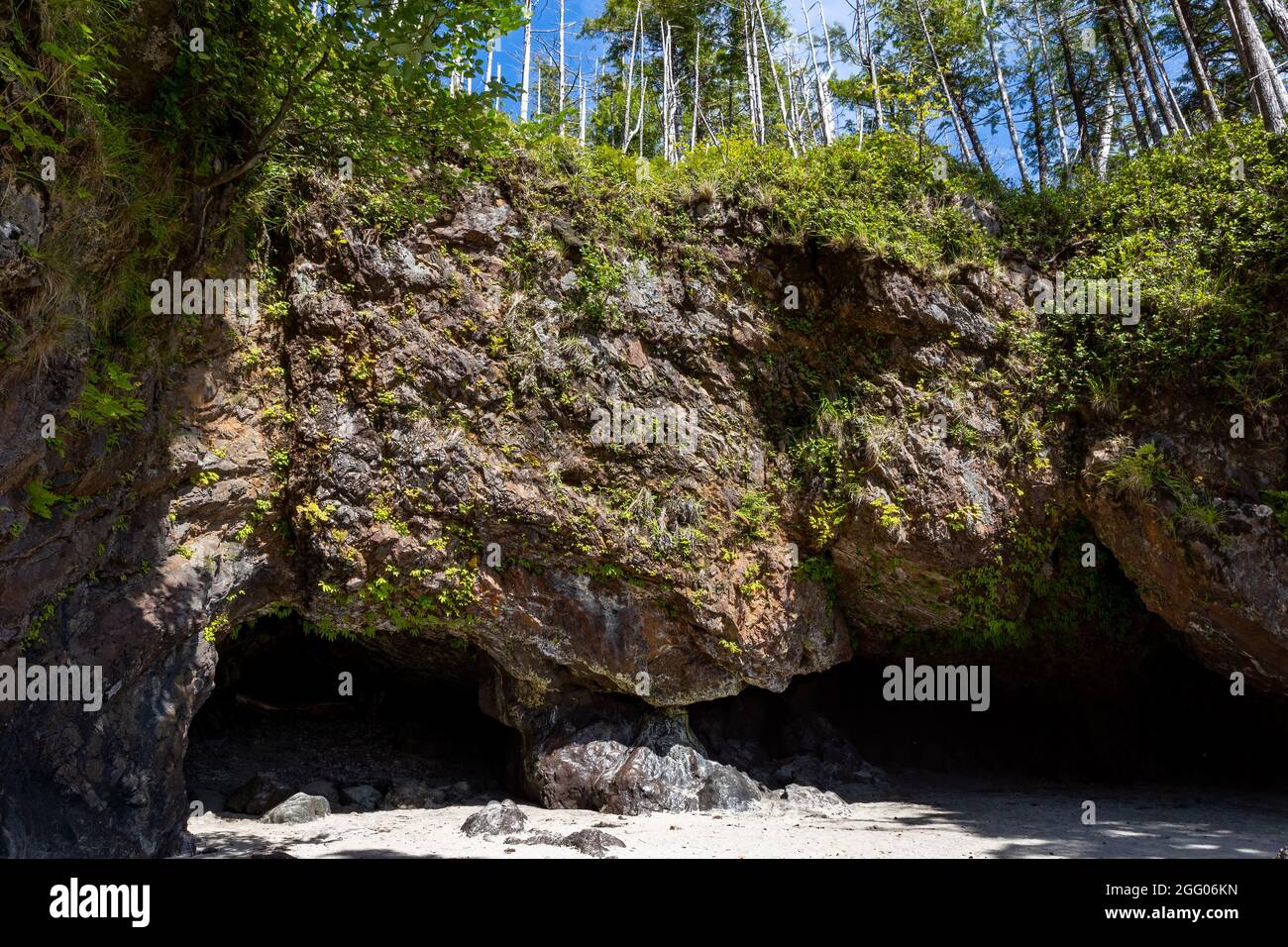 View of the iconic caves at San Josef Bay, Cape Scott Provincial Park ...