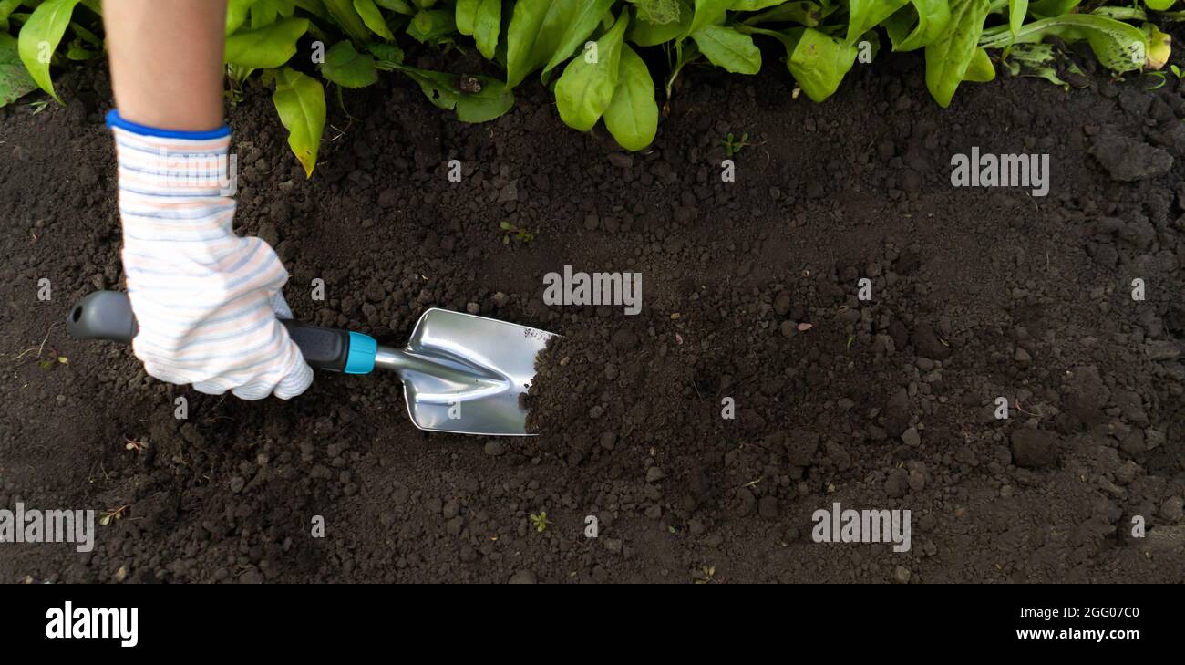 Hand top view hi-res stock photography and images - Alamy