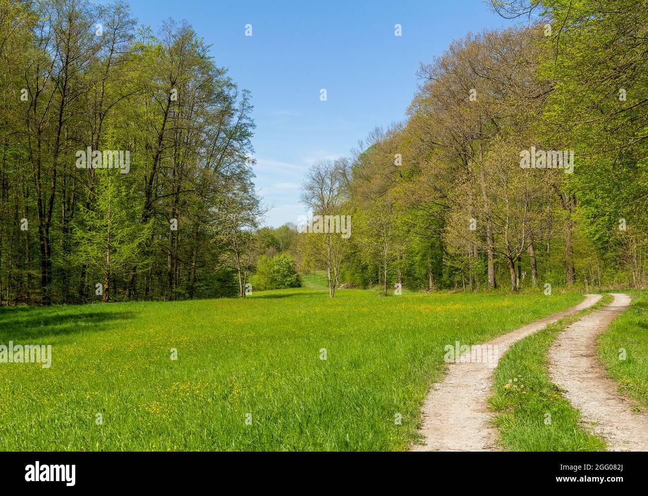 Idyllic rural spring time scenery in Hohenlohe, a district in Southern ...