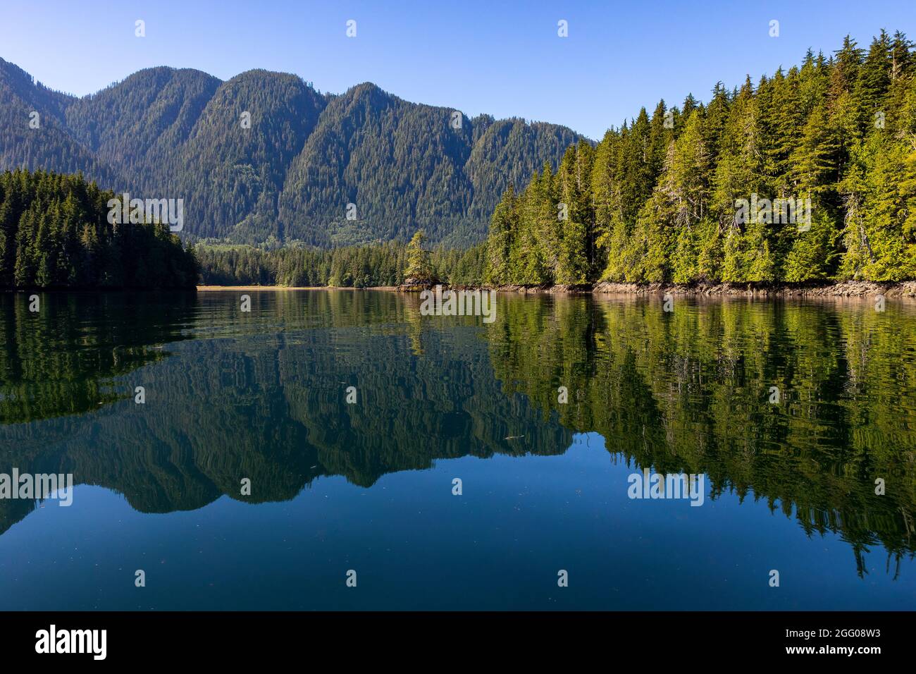 Lovely View of Nerotsos Inlet in Port Alice, Vancouver Island, BC ...