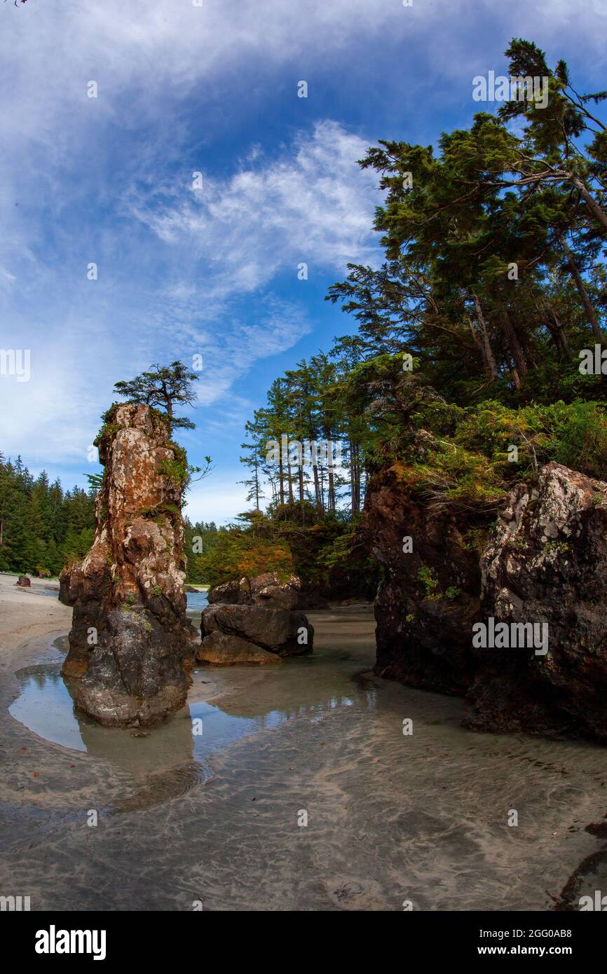 Cape scott provincial park hi-res stock photography and images - Alamy