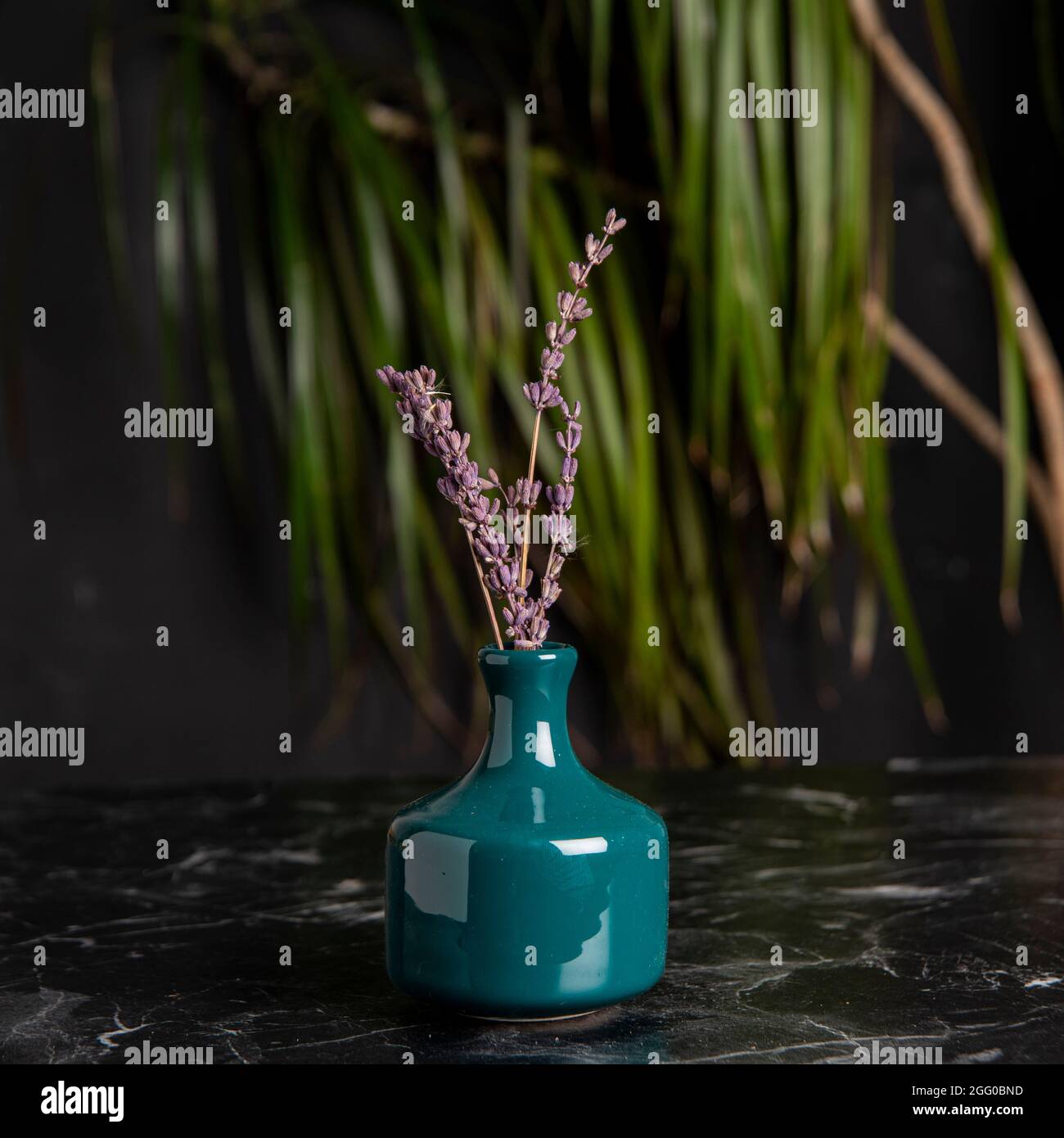 colorful ceramic vase with plant Stock Photo - Alamy