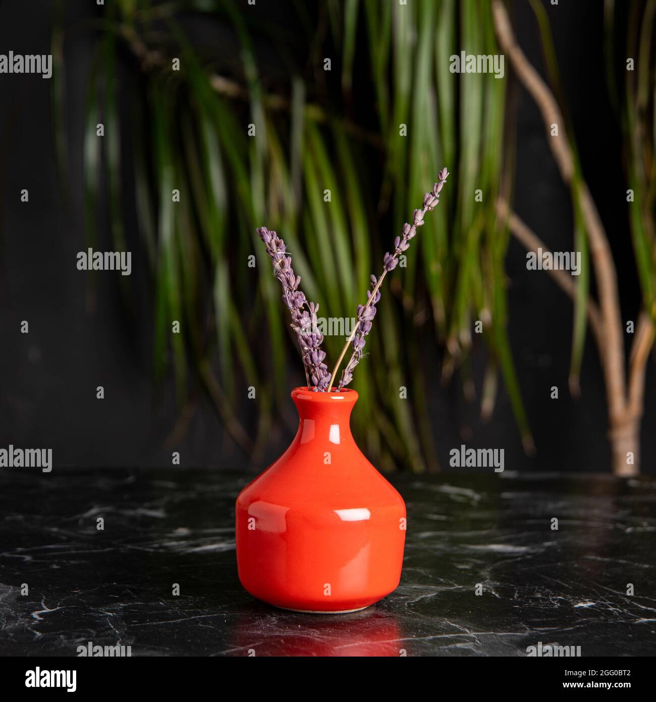 colorful ceramic vase with plant Stock Photo - Alamy