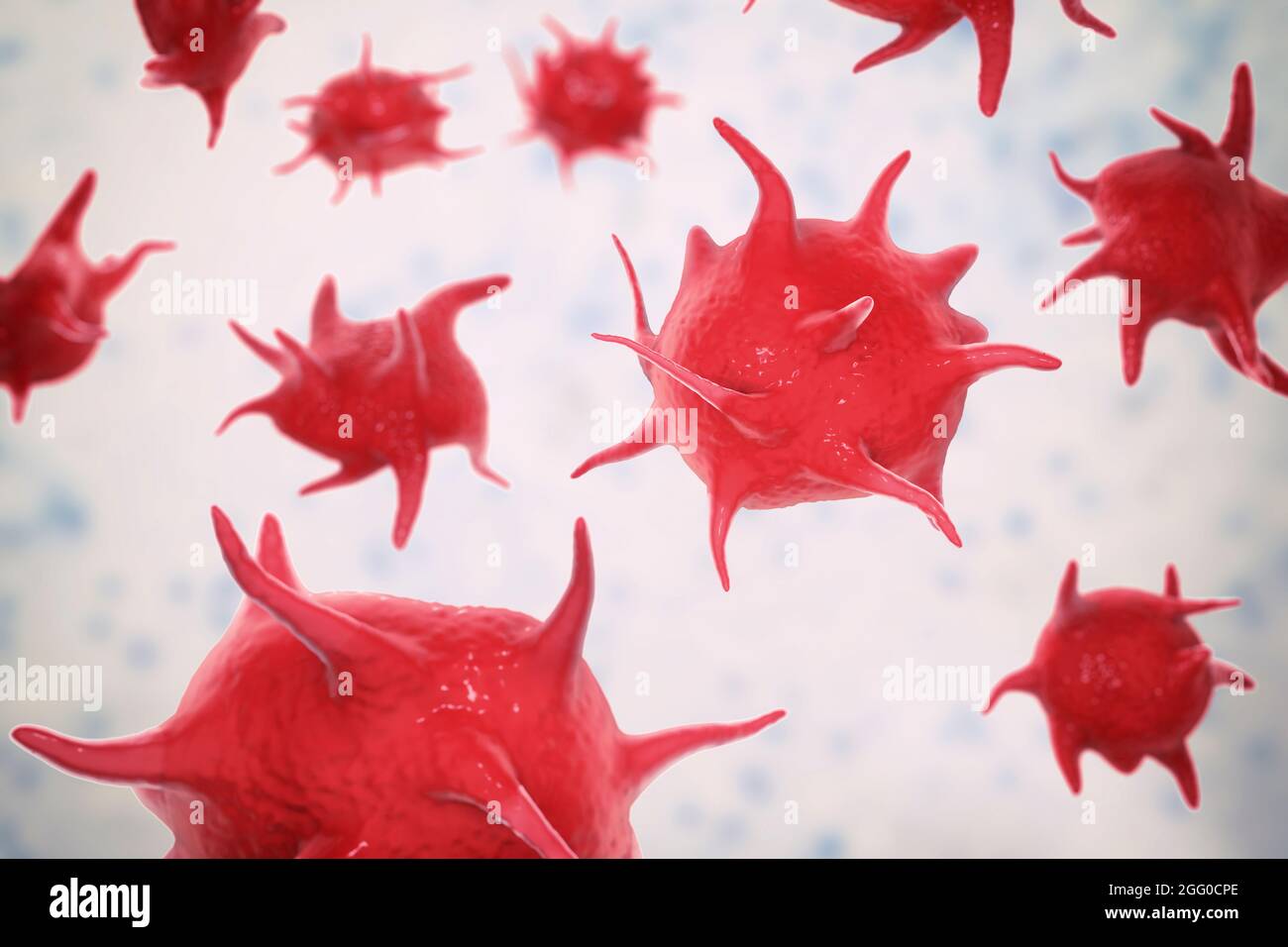 Human blood smear platelets hi-res stock photography and images - Alamy