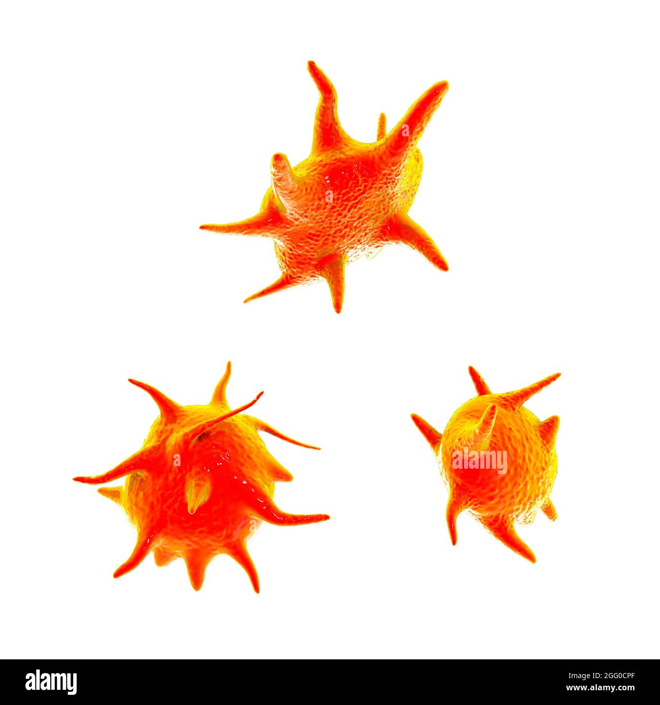 Activated platelets, illustration Stock Photo - Alamy