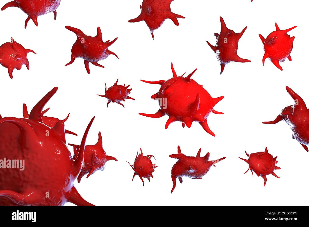 Activated platelets, illustration Stock Photo - Alamy